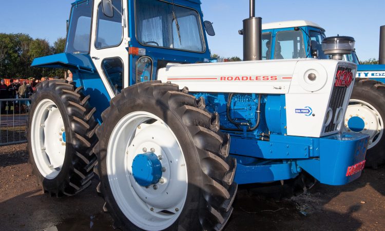 Auction report: Remarkable Roadless sells for £46,000 (plus commission ...