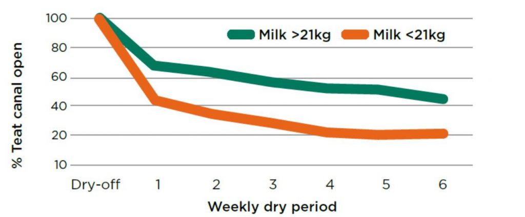Make the most out of the dry period and improve udder health during ...