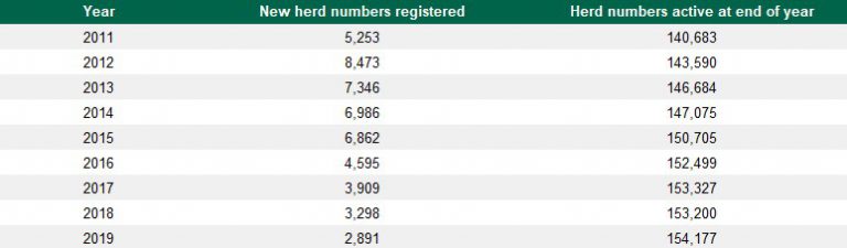 Almost 3,000 new herd numbers registered in 2019 - Agriland.ie