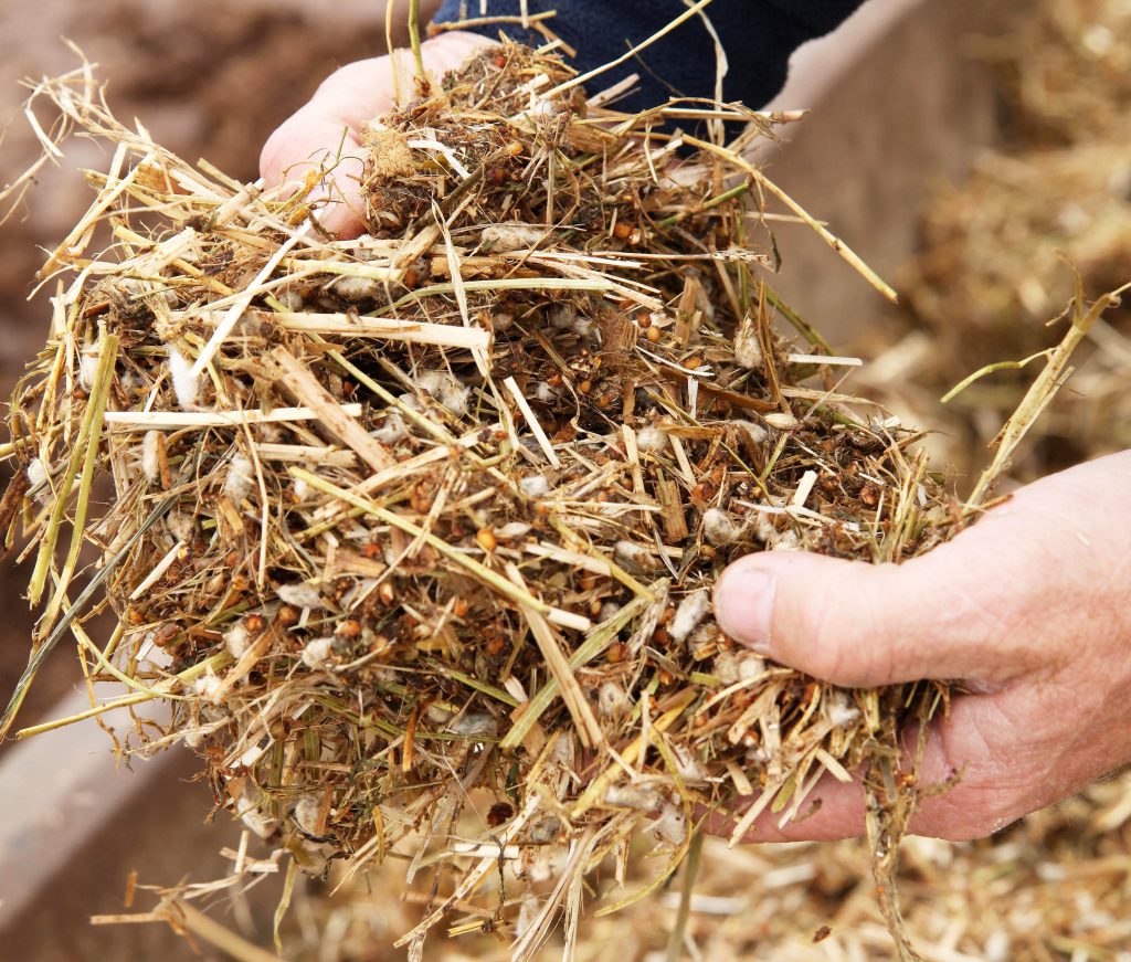 The importance of a successful dairy dry cow programme - Agriland.ie