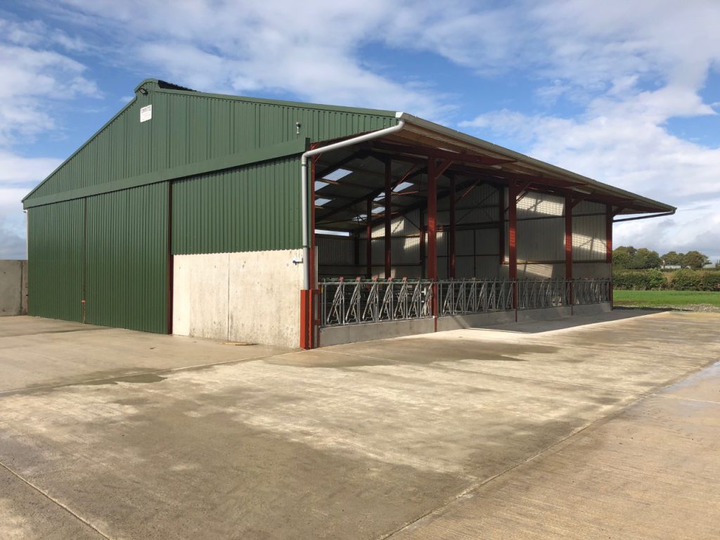 Back in focus: Suckler and beef-finishing unit all under the one roof ...