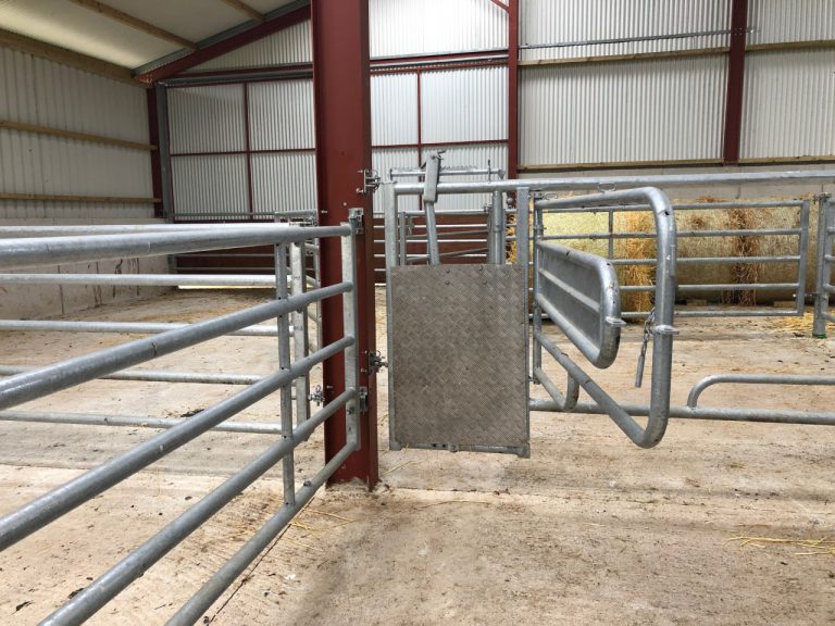 What are the benefits of calving gates? - Agriland.ie