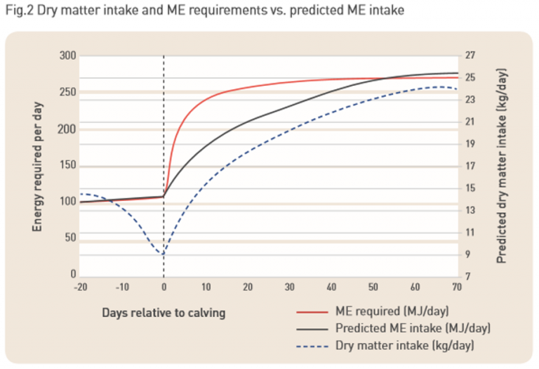 Post-calving trace mineral deficiency is a reality: How to get cows ...