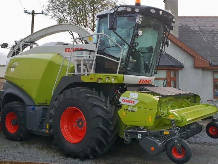 Poor-quality silage can turn out to be the most expensive feed on your ...