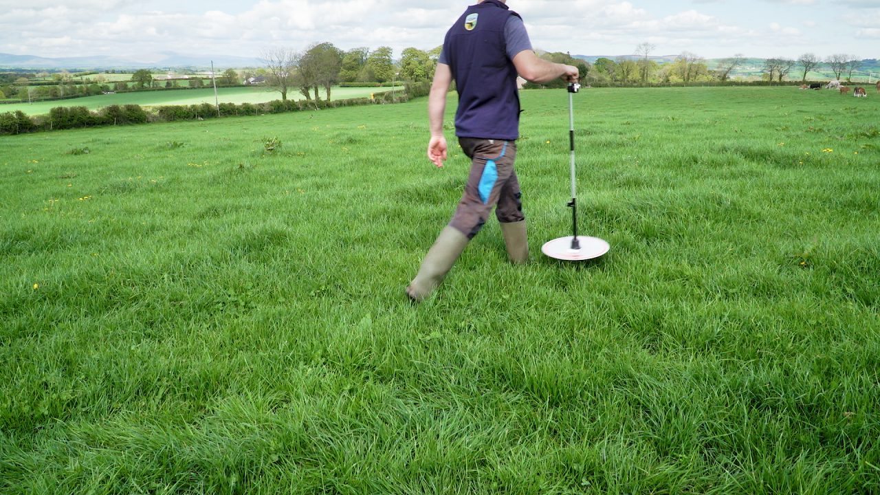 Examining 2019 grass growth performance across demonstration farms ...