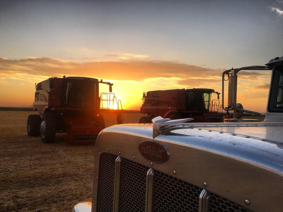 'Experience of a lifetime': Irish drivers wanted for combine crew ...