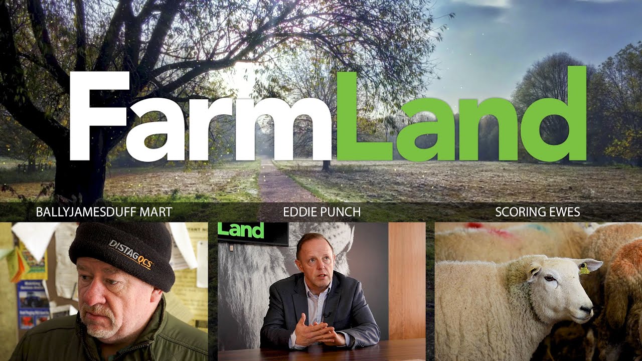 FarmLand 13th February 2020 - Agriland.ie