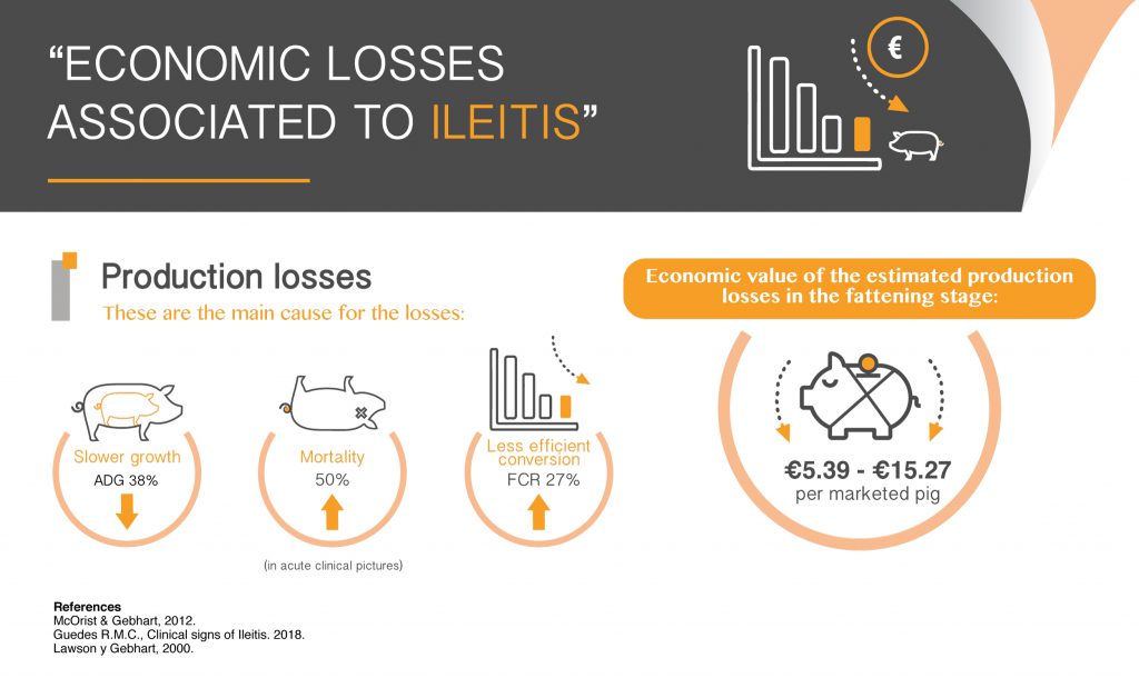 Counting the cost of ileitis in pigs - Agriland.ie
