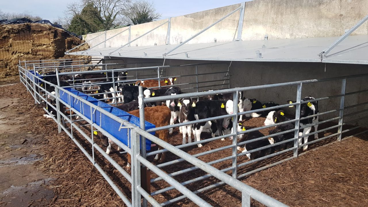 Converting a silage slab into calf housing facilities in Co. Meath ...