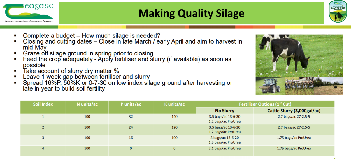 'There is no room for poor-quality silage in a calf-to-beef system ...