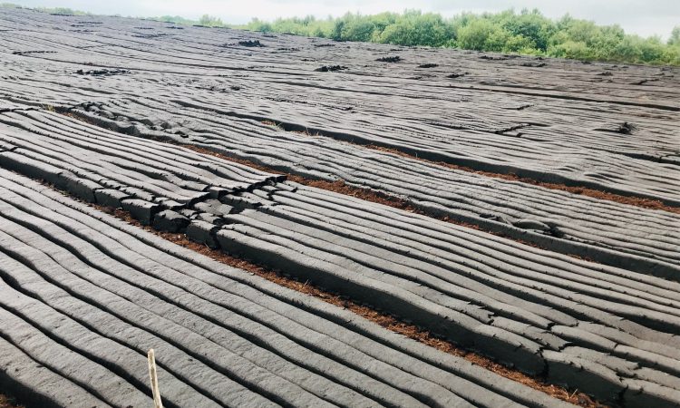 Turf cutting also classed an 'essential' agricultural activity ...