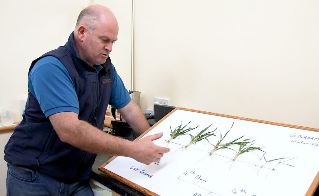 CROPS WATCH: Examining roots on winter cereals - Agriland.ie