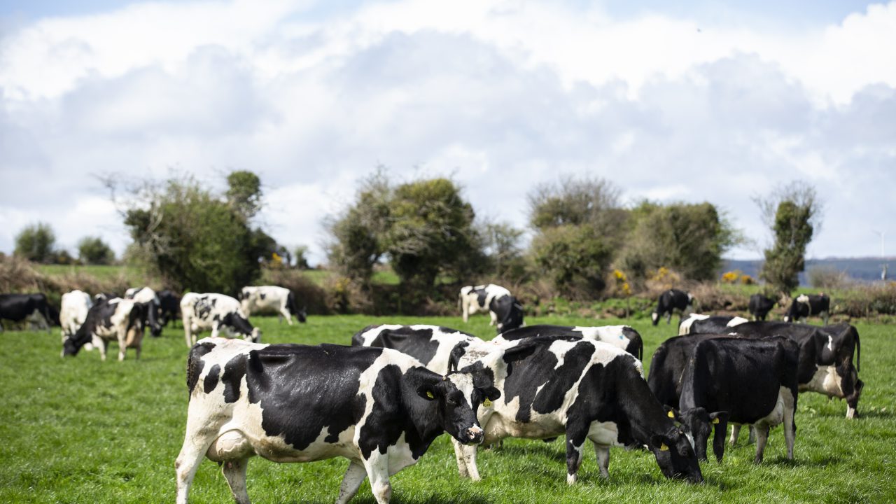 Beat the drop: A guide to grassland management - Agriland.ie