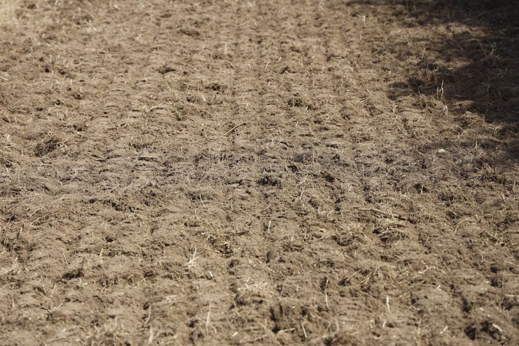 Best methods and practices when it comes to reseeding - Agriland.ie