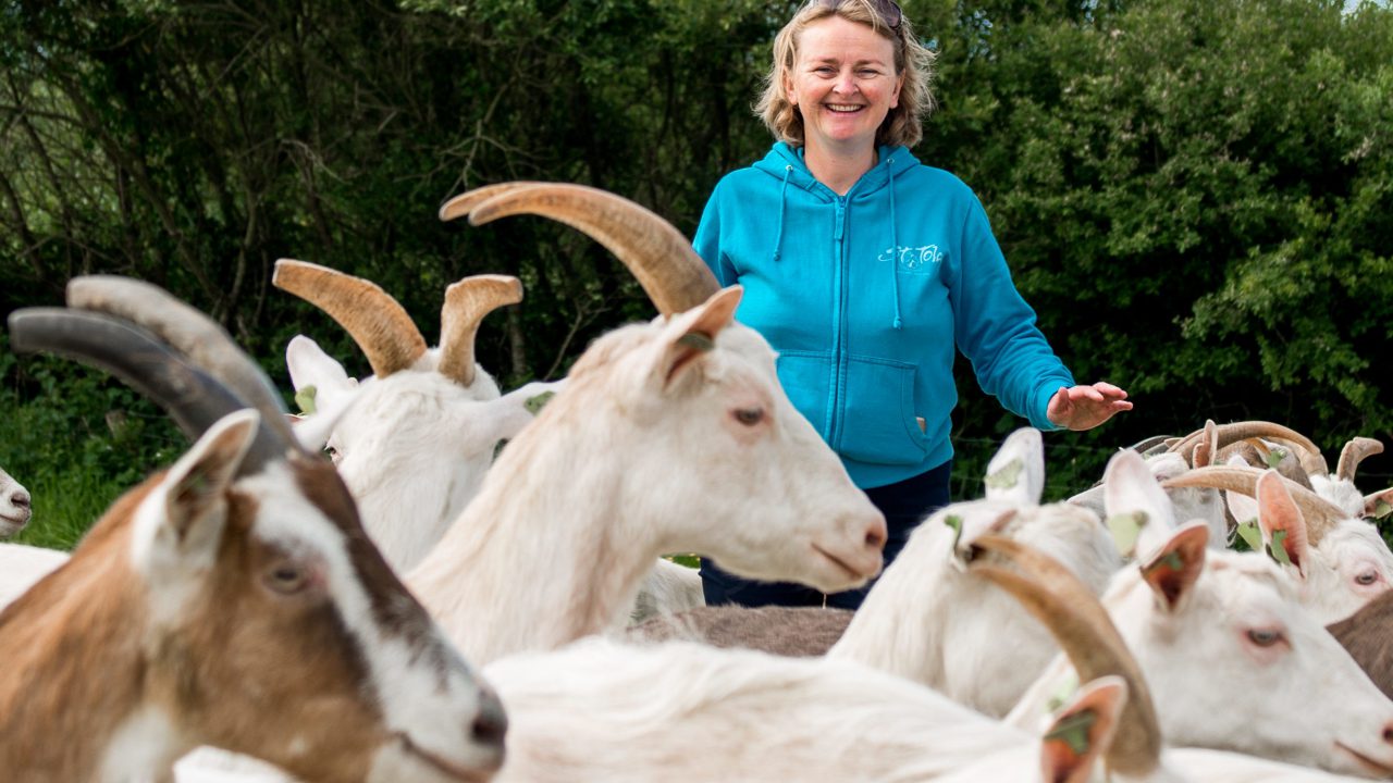 Burren producers' initiative doesn't put eggs all in one basket ...