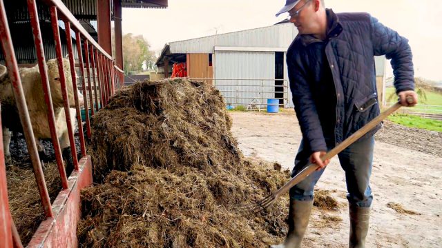 A guide to hiring and managing farm workers ahead of spring - Agriland.ie