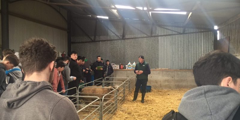 Ag science teachers voice new curriculum concerns - Agriland.ie