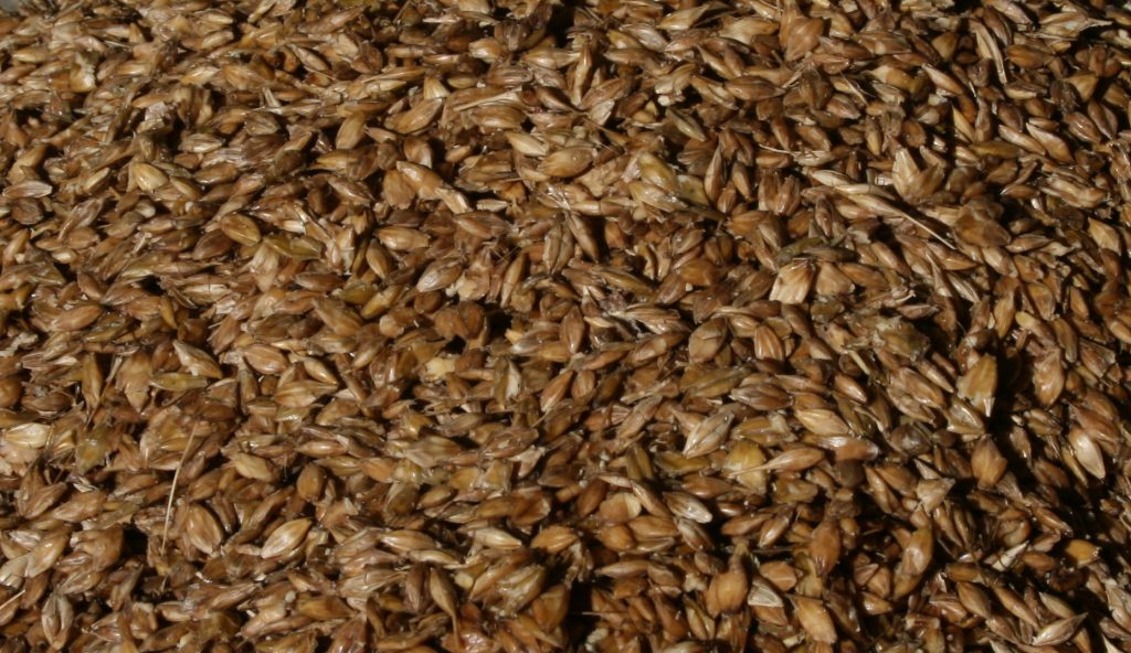 Rumen performance powered by Maxammon - Agriland.ie