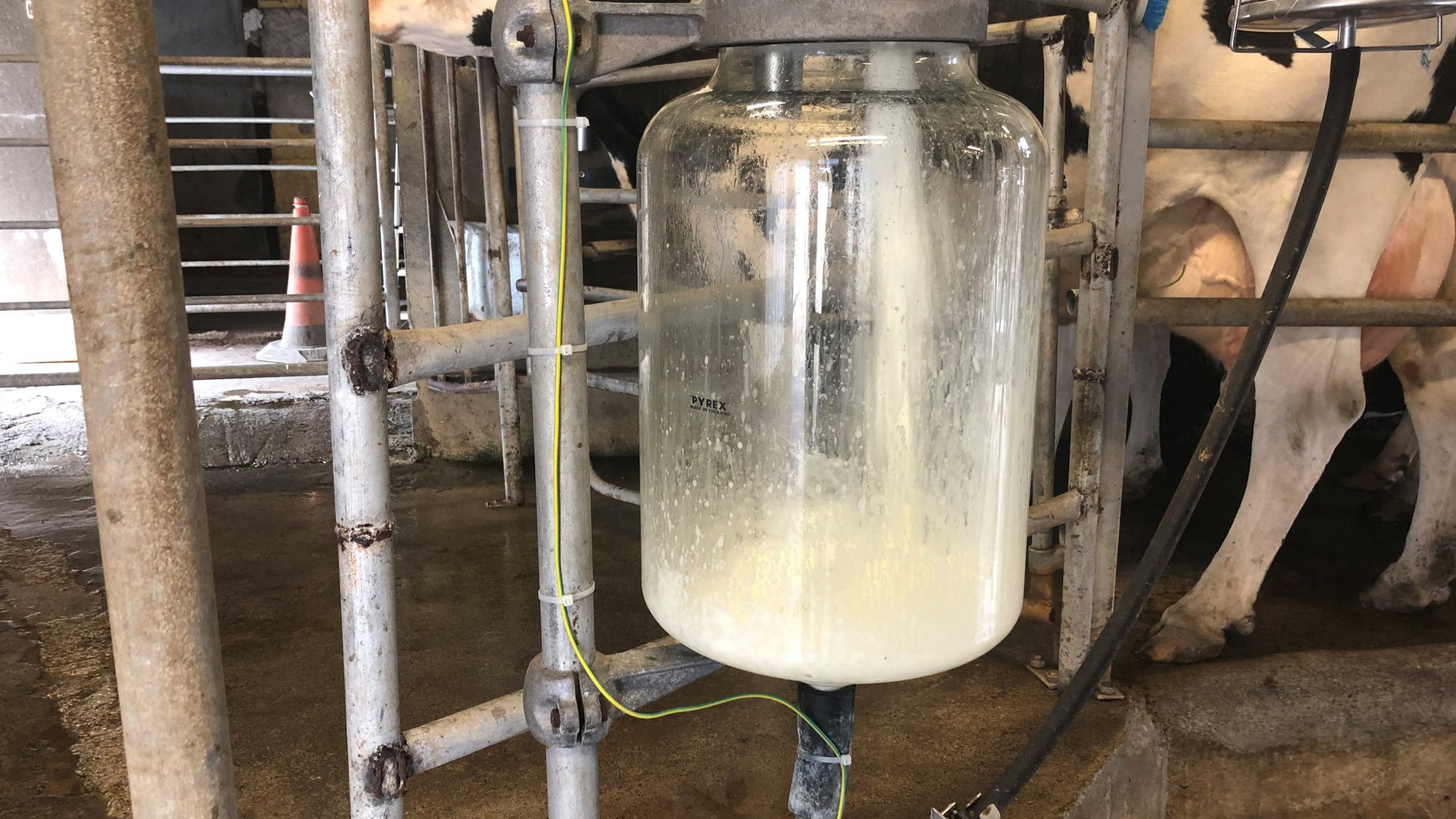 Domestic milk intake increases by 7.4% for September - Agriland.ie