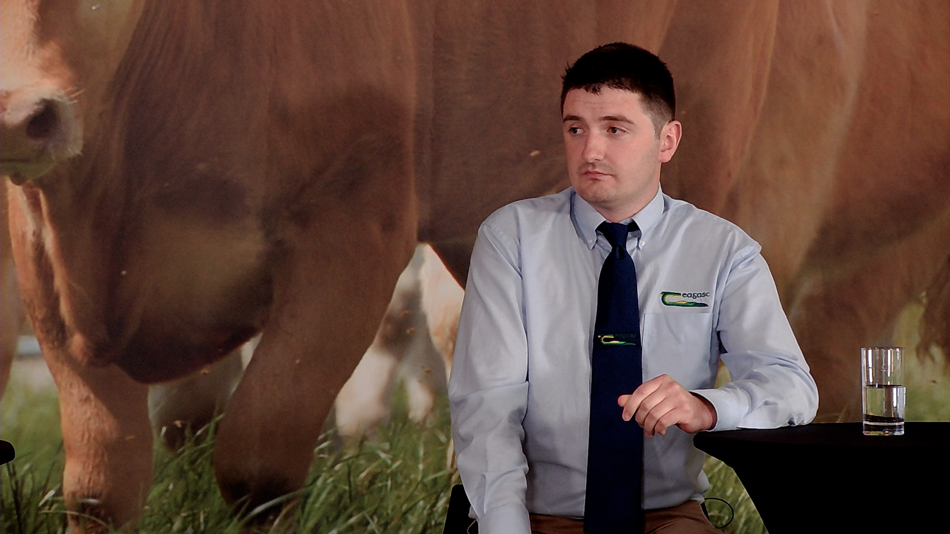 Teagasc: Virtual Beef Week: Importance of System and Genetics in Dairy ...