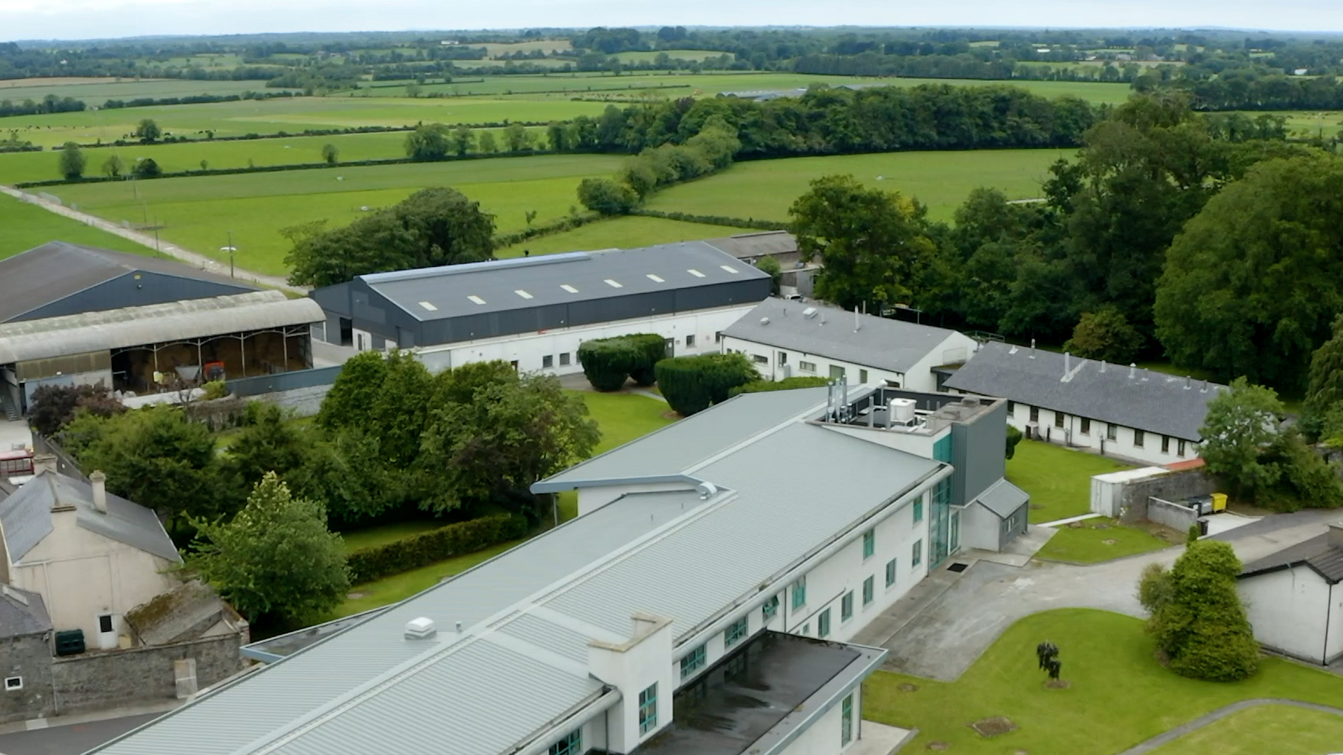Teagasc: Virtual Beef Week Day: Achieving High Reproductivity ...