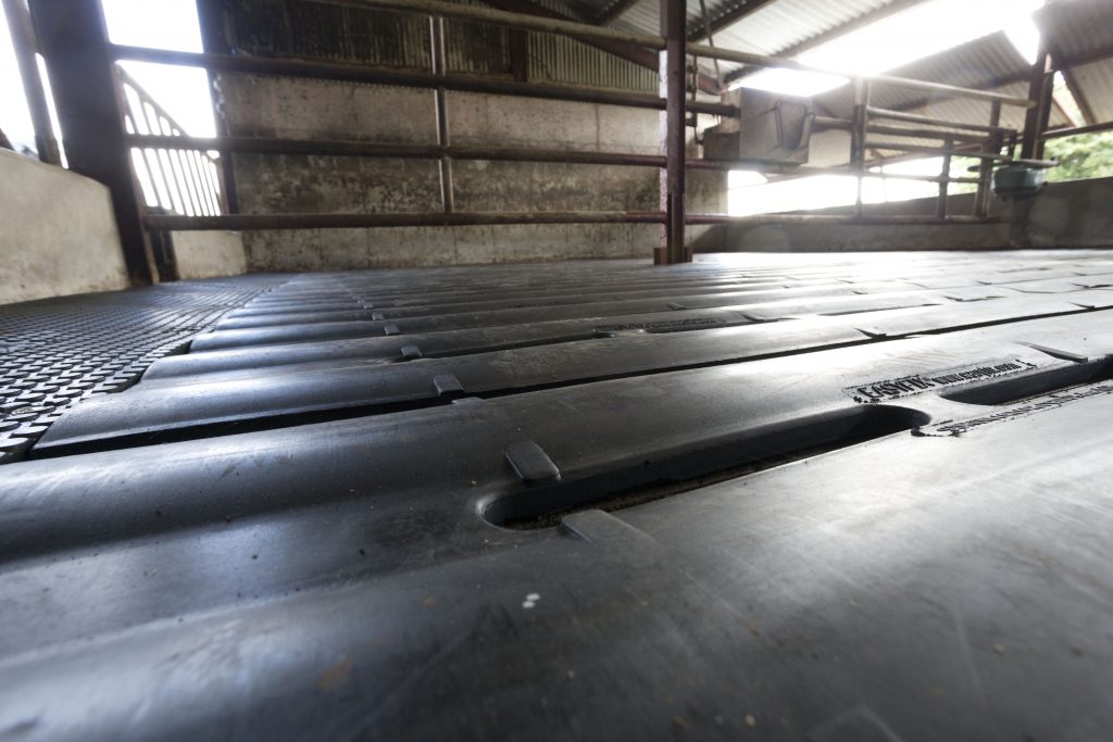 Maximising winter housing efficiency with EASYFIX slat mats - Agriland.ie