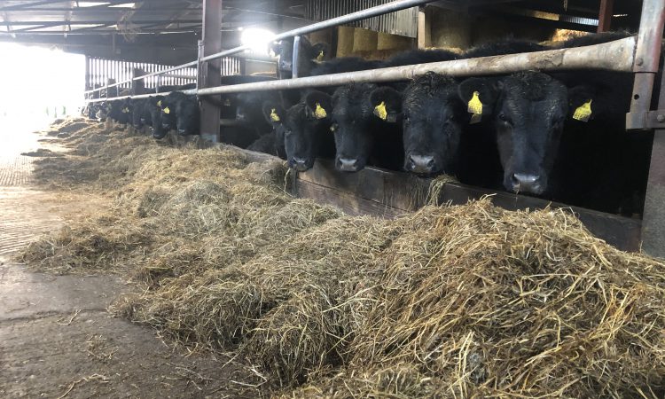 Latest Farming News - Farming In Ireland - Farm Ireland - Agriland