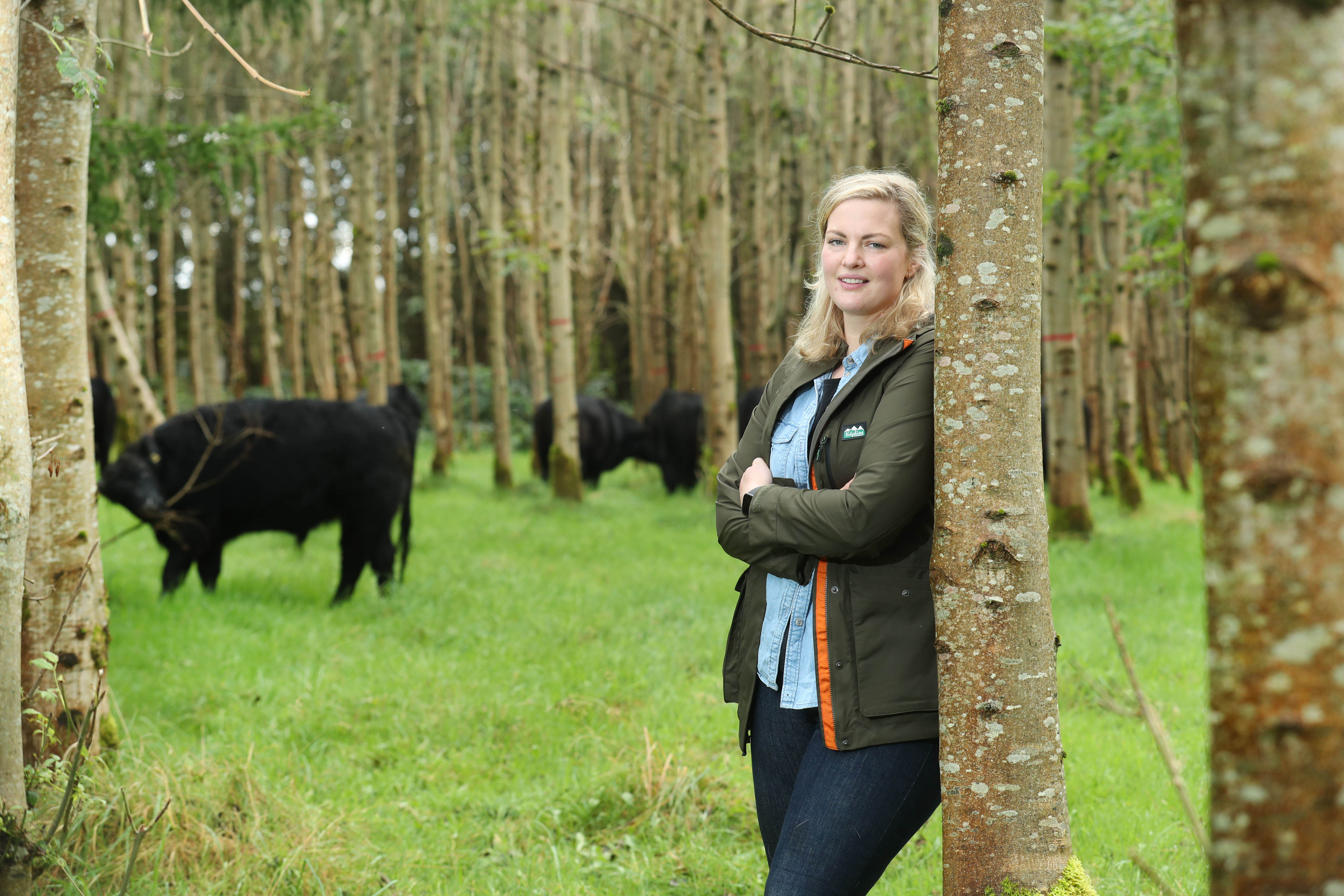 Bord Bia campaign to showcase environmentally-friendly farmers ...