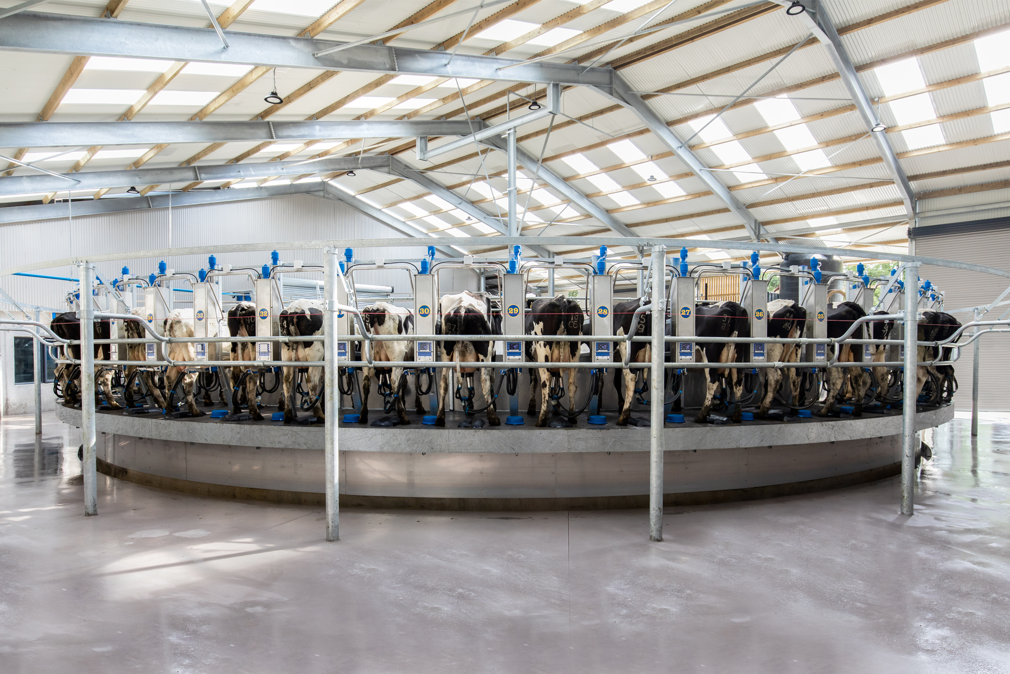 Dairymaster: Ruling the roost through the rotary route - Agriland.ie