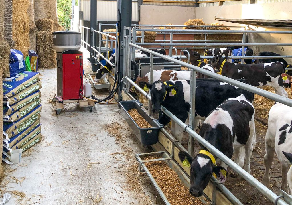 How combination of products 'paid dividends' for calf rearing on Co ...