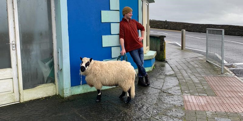Surfer saves sheep from drowning off Clare cliff - Agriland.ie