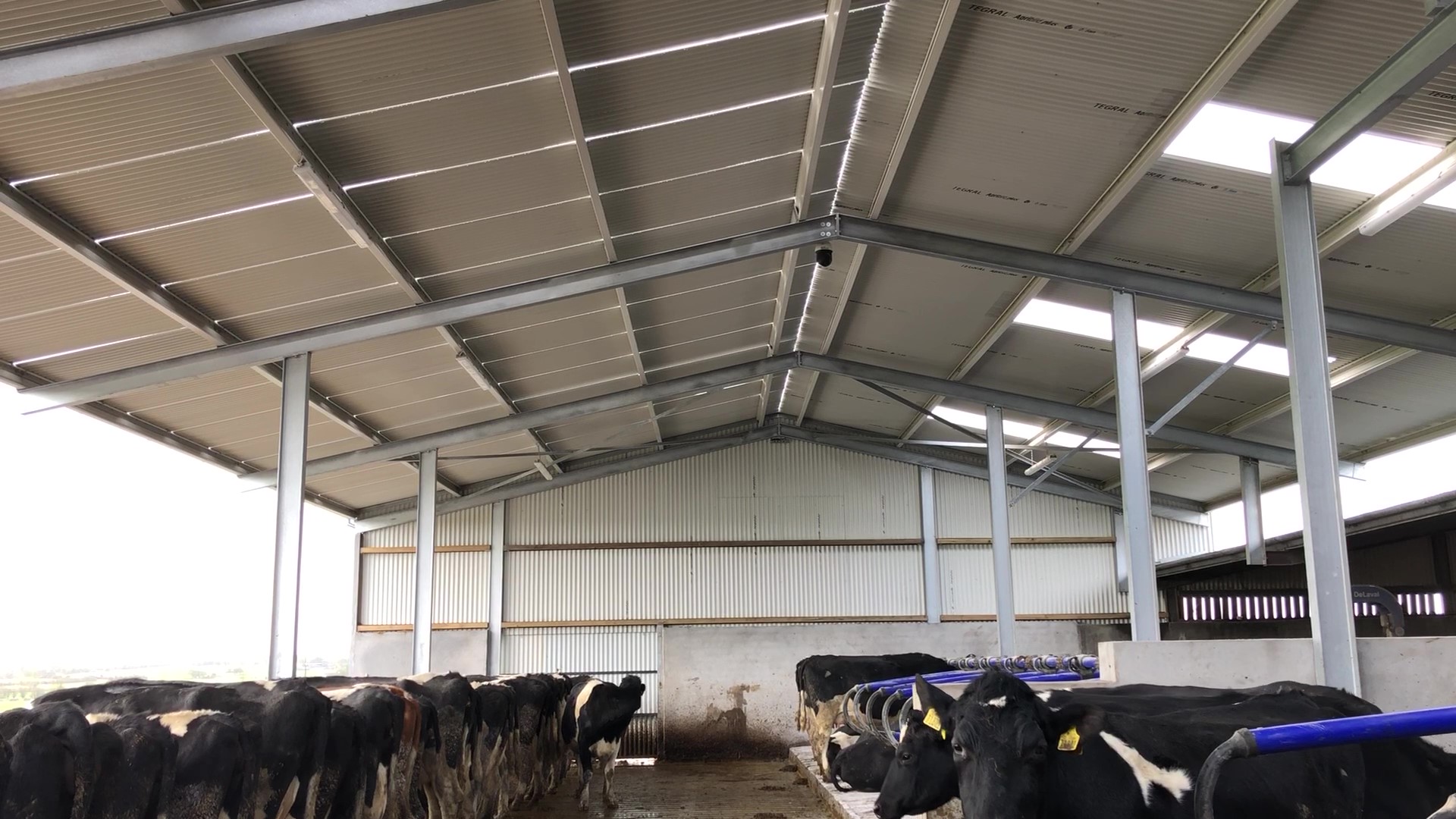 Buildings Focus: Tying in a new cubicle shed with 2 existing sheds to ...