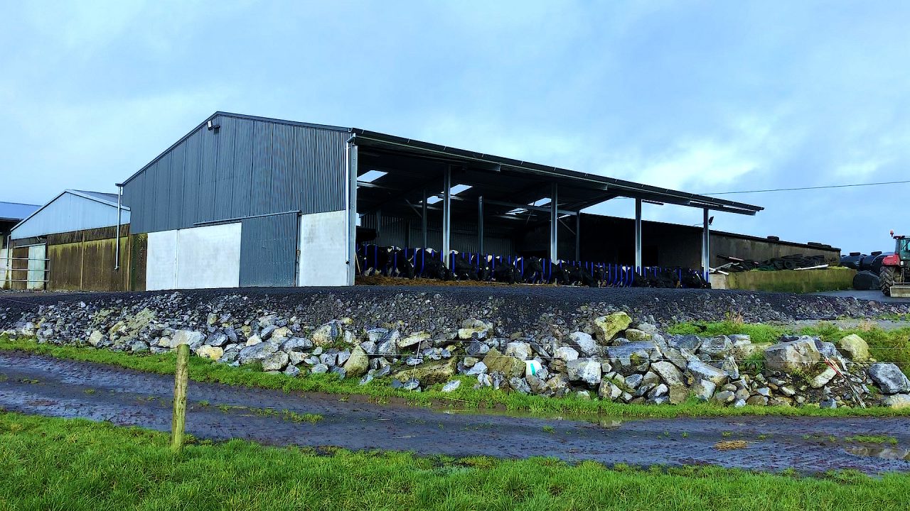 Buildings Focus: Tying in a new cubicle shed with 2 existing sheds to ...