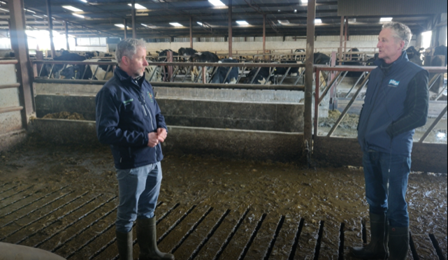 Heat detection and health monitoring virtual open day - Agriland.ie