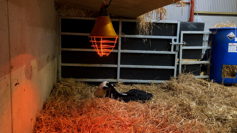 Buildings Focus: Going the extra mile to create an environment for ...