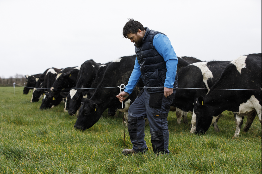Improving milk solids is an absolute priority for this north Kerry ...