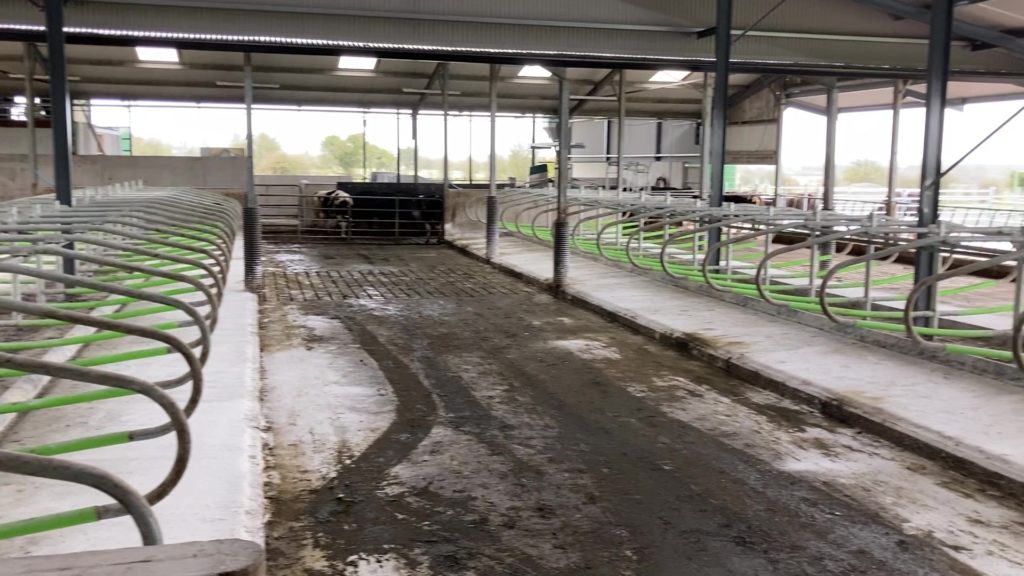 Farmers urged to take care when using cubicle lime - Agriland.ie
