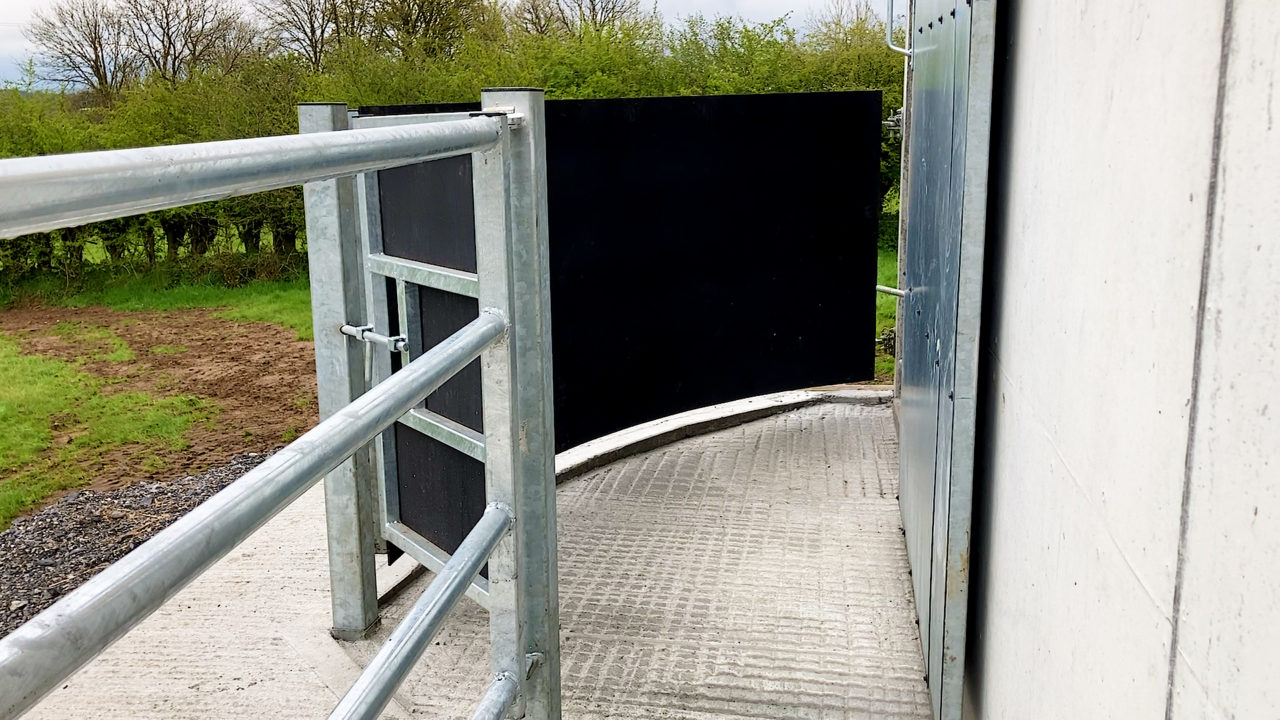 Leaving no stone unturned in this new suckler unit in Roscommon