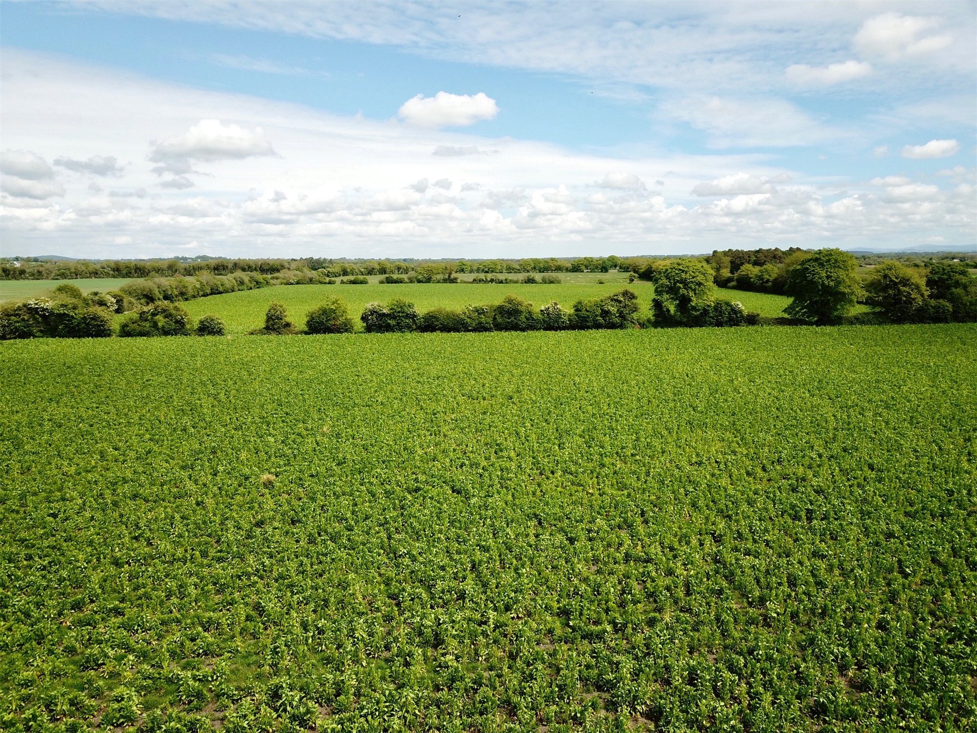 Photos: €950,000 Co. Kildare agricultural land up for auction - Agriland.ie