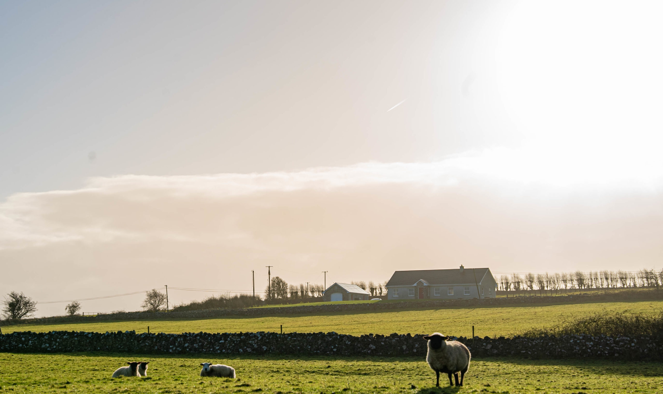 One-off rural housing 'vital' for rural Ireland's survival - Canney ...