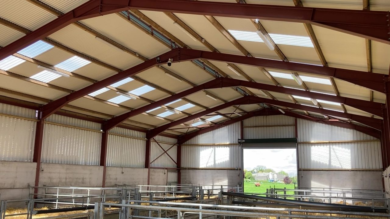 Buildings Focus: Grant-spec sheep shed for a 300-ewe flock in Co. Cavan