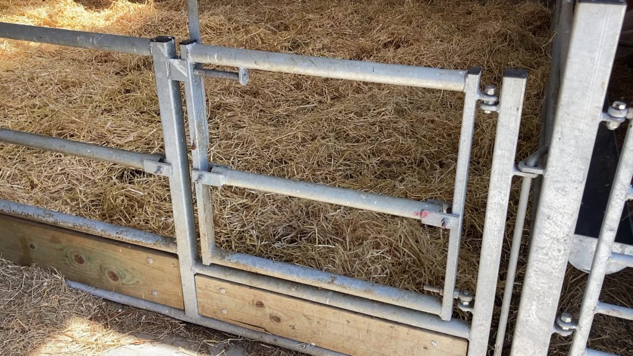 Buildings Focus: Grant-spec sheep shed for a 300-ewe flock in Co. Cavan