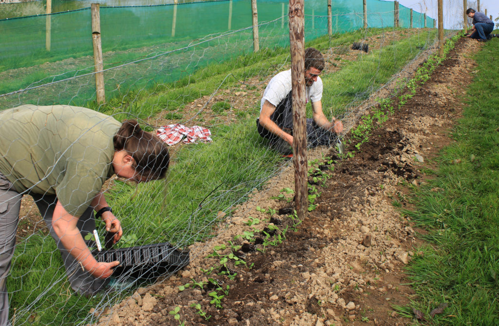 Seed Savers is June Farming for Nature ambassador - Agriland.ie