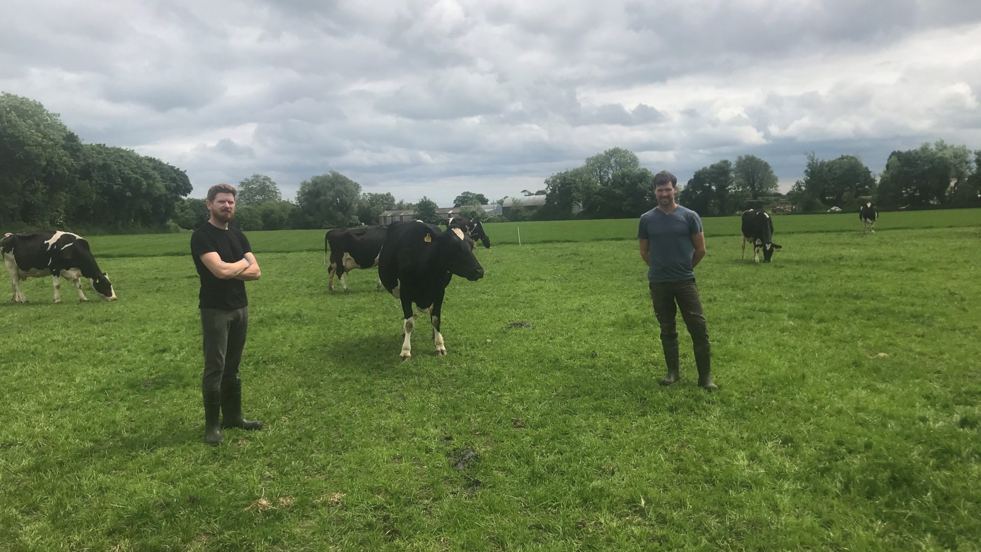 Dairy Focus: Less cows, less milk, more profit in Co. Louth - Agriland.ie