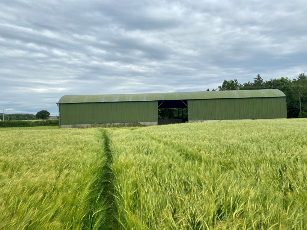 Athy land 'would make ideal out-farm' - Agriland.ie