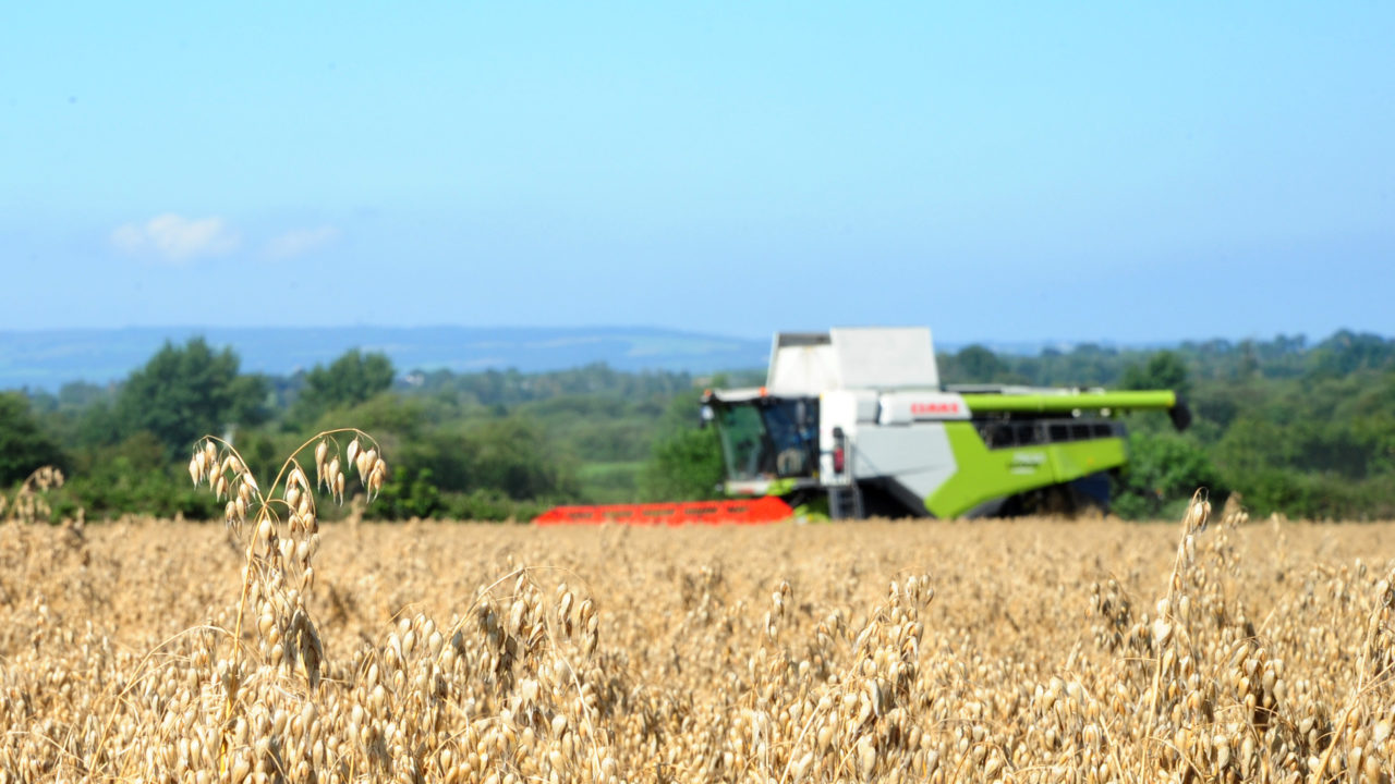 Opinion: What will certifying the low carbon footprint of Irish grain ...