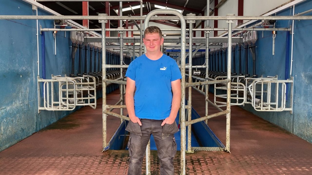 Buildings: Settling in nicely to a new modern dairy unit in Co. Tipperary