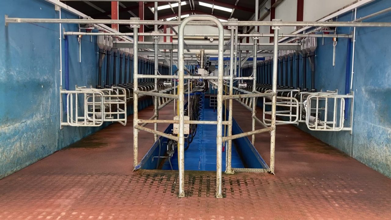 Buildings: Settling in nicely to a new modern dairy unit in Co. Tipperary