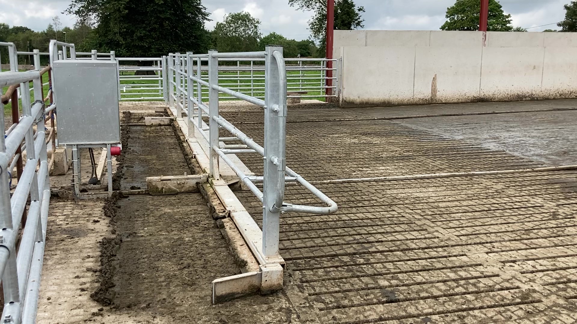 Buildings: Settling in nicely to a new modern dairy unit in Co. Tipperary
