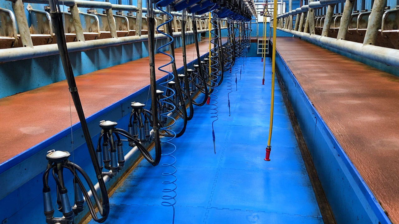 Buildings: Settling in nicely to a new modern dairy unit in Co. Tipperary